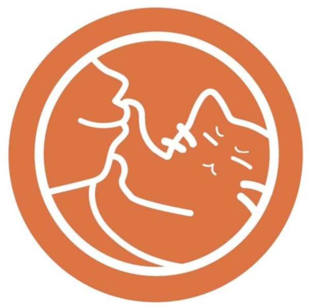 ช้อปออนไลน์ คิดท์ซ่า | Lazada Thailand