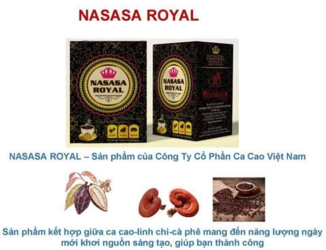 Nasasa Royal giá rẻ Tháng 3,2024|BigGo Việt Nam