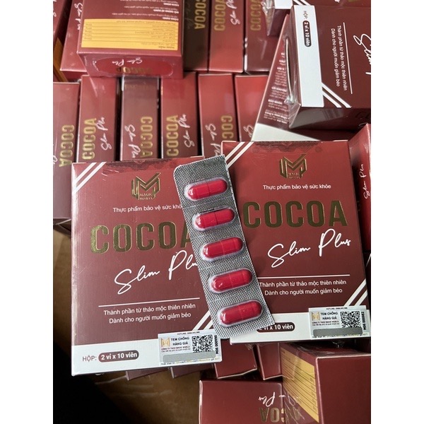 Cocoa giá rẻ Tháng 7,2023|BigGo Việt Nam