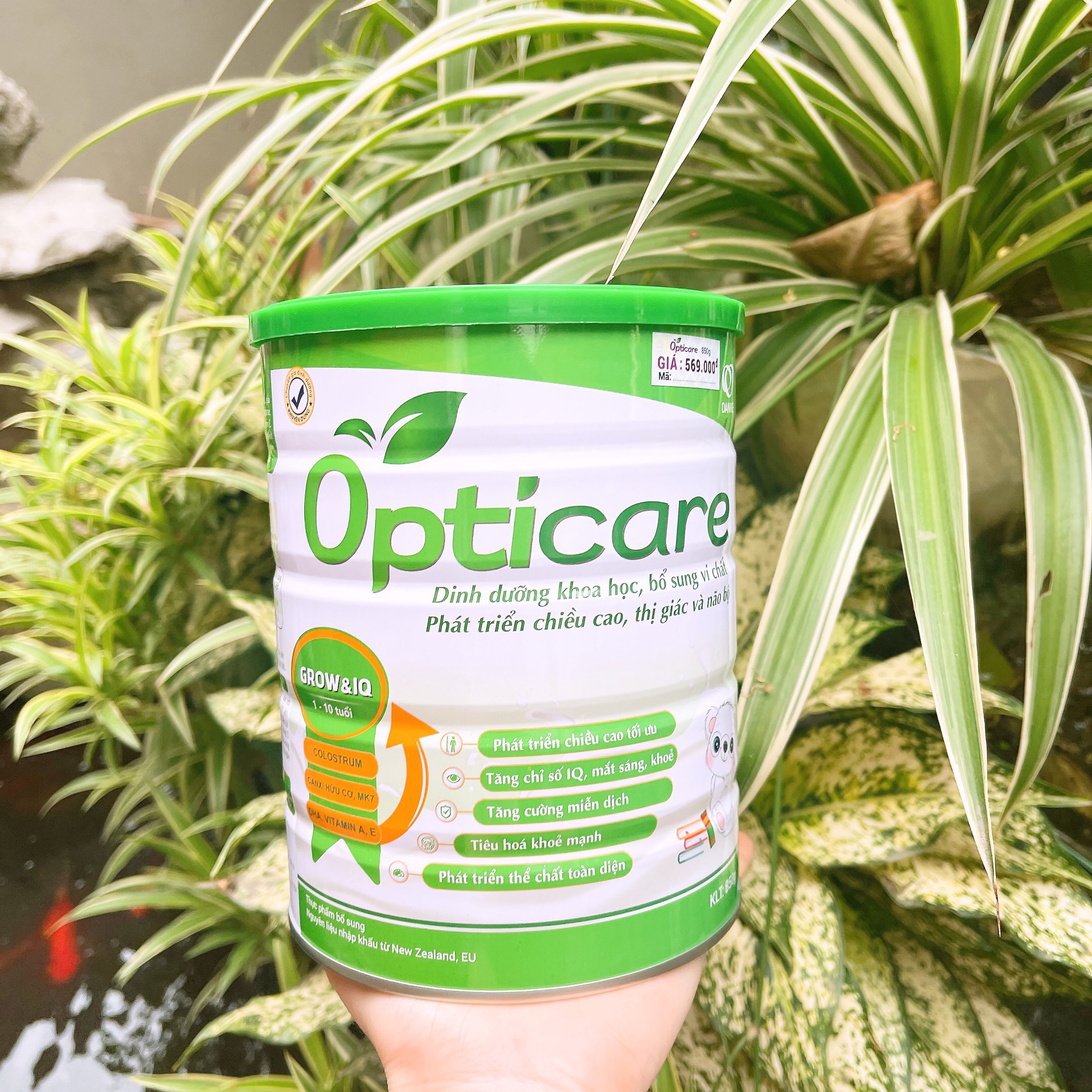 Opticare giá tốt Tháng 10,2022|BigGo Việt Nam