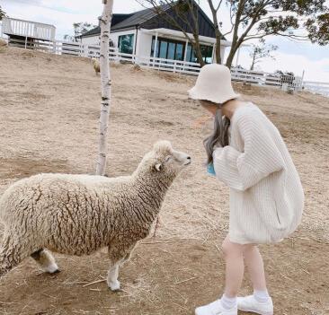 CassandraCassandra Official Store in the Philippines, Online Shop 01 2025