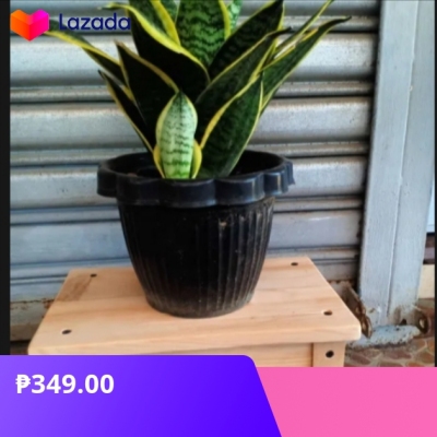 Bangkito... small chair ...multi purpose for plants,doll sturdy built ...