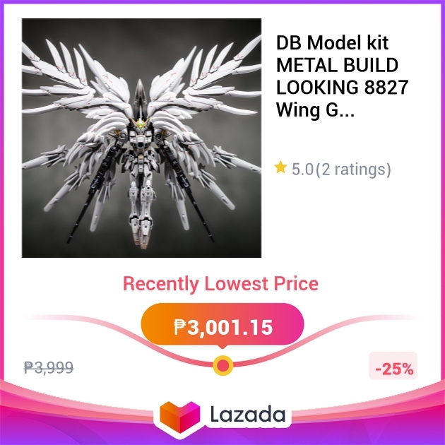 DB Model kit METAL BUILD LOOKING 8827 Wing GD Zero EW FIX Wing Snow ...