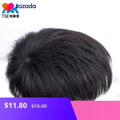 TSE Middle-aged Man Wig real hair made man wig handmade Dad wigs ...