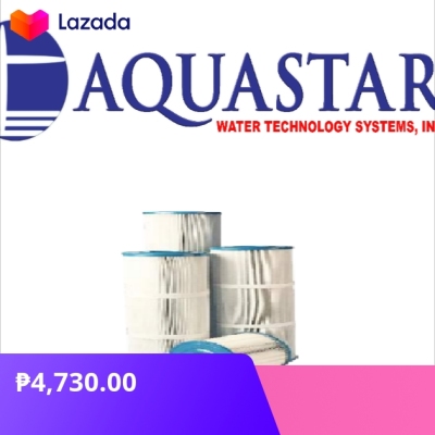 EMAUX 150ft2 FILTRATION AREA ELEMENT- CF150-CE