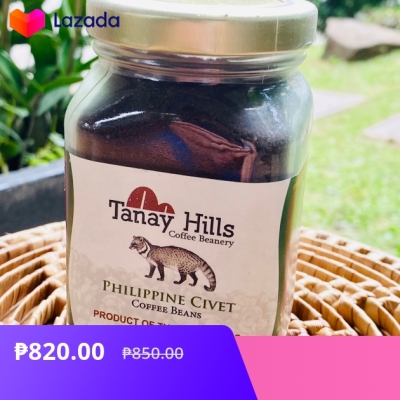 Civet Coffee Alamid 100 grams (ground/ medium roast)