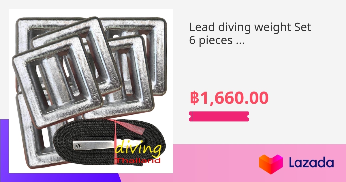 Lead diving weight Set 6 pieces & Diving belt.Total weight 6 Kg.