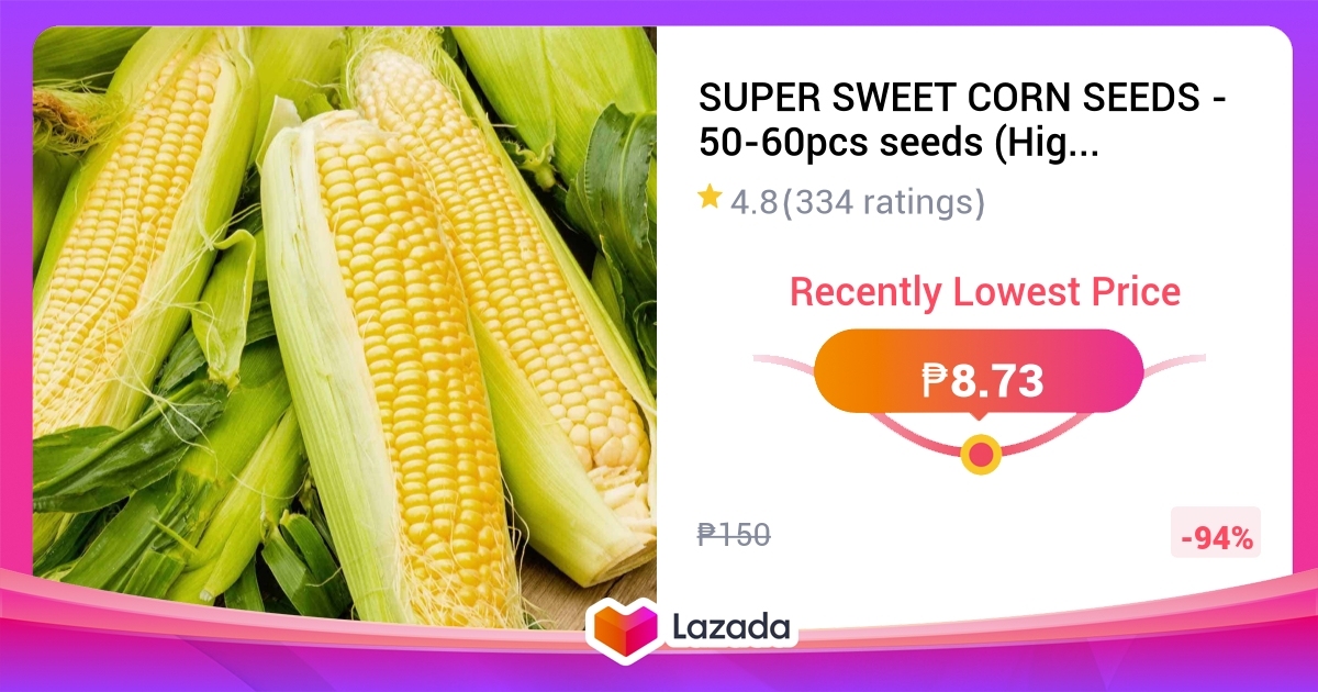 SUPER SWEET CORN SEEDS - 50-60pcs seeds (High Yield / Easy to plant)