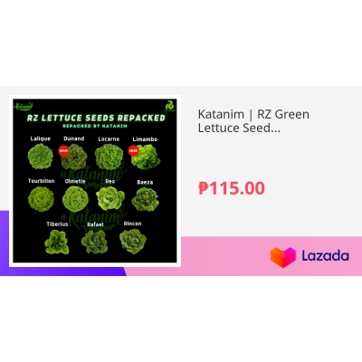 Katanim | RZ Green Lettuce Seeds Collection 1 (Repacked 100 seeds) Rijk ...