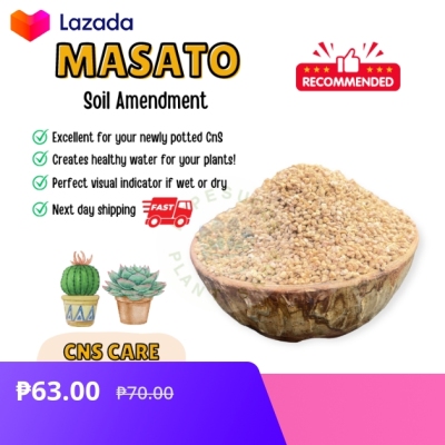 REPACKED Hypesuccs Masato 1-3mm Stone Rocks Soil Amendment Cactus ...