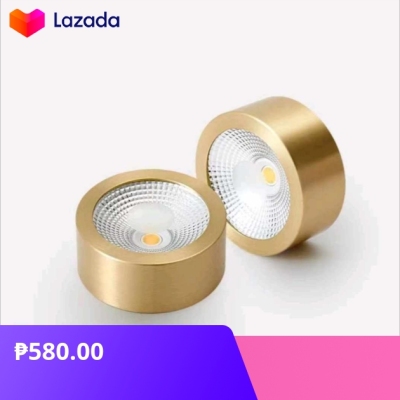 All Gold Drum Luxury Downlight LED ceilling light for Living room