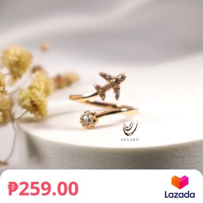 Airplane Ring (stainless steel)