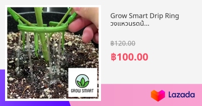 Grow Smart Drip Ring วงแหวนรดน้ำ วงแหวนน้ำหยด irrigation drip ring Hydroponic dripper