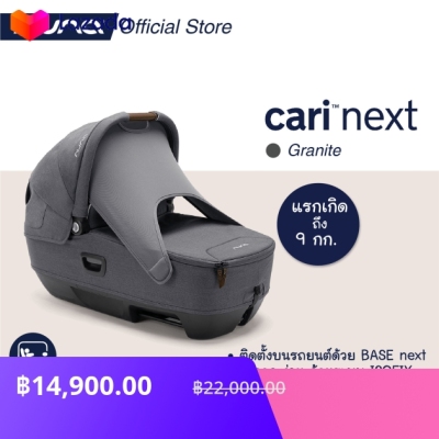 Nuna Car Seat Cari Next Granite