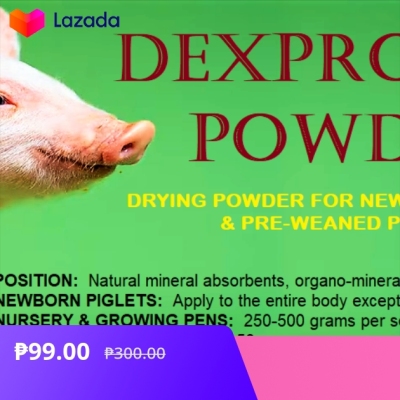 Biik Drying Powder for newborn piglets & pre-weaned pigs 1KG