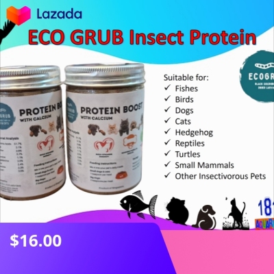 [100g] ECOGRUB Insect (Larvae Black Soldier Fly) Protein Powder ...