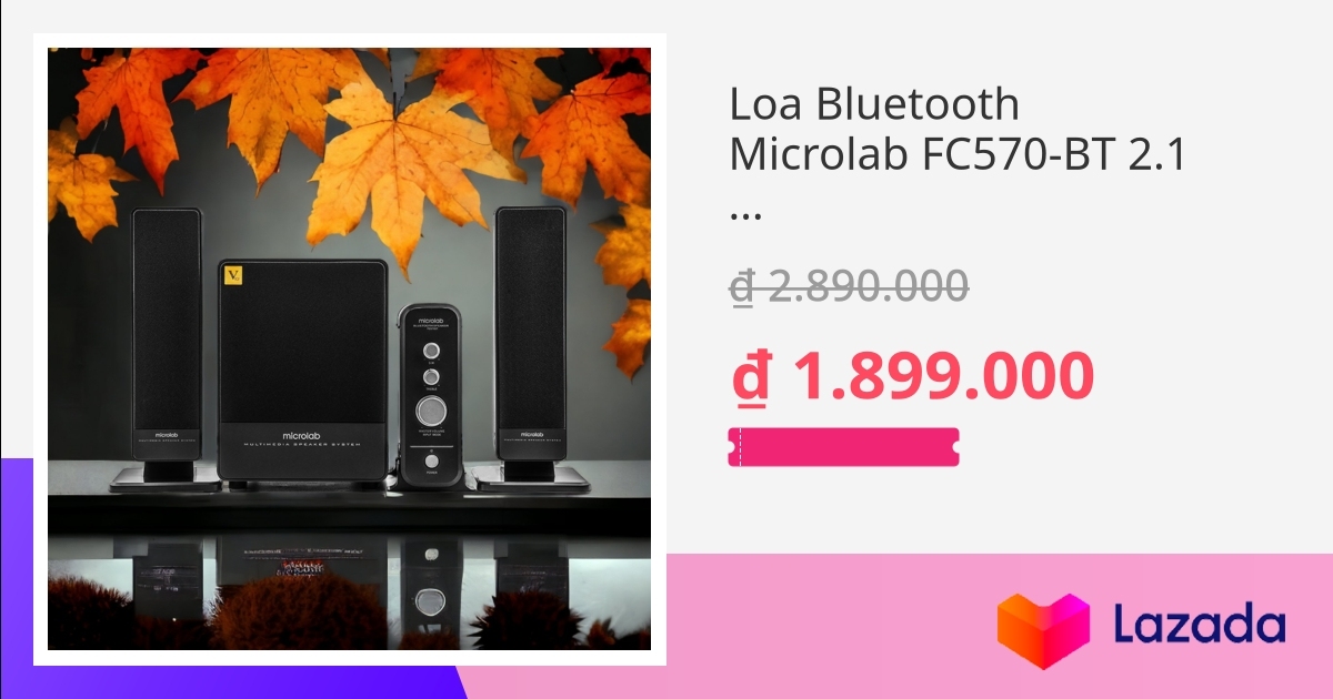 Loa Bluetooth Microlab FC570-BT 2.1 - Hàng Chính Hãng