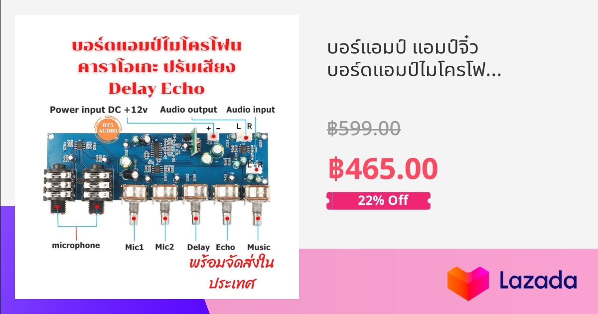 บอร์แอมป์ แอมป์จิ๋ว บอร์ดแอมป์ไมโครโฟน คาราโอเกะ ปรับเสียง Delay Echo