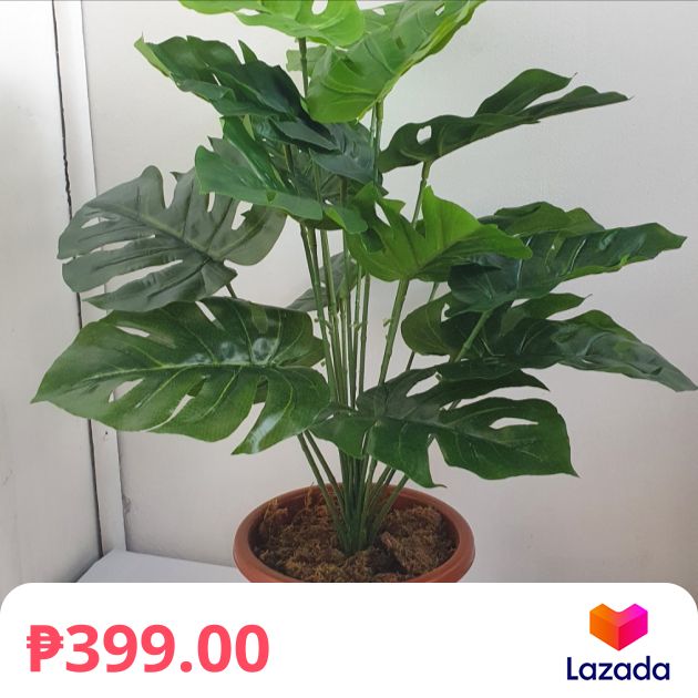 Artificial Silom Leaves Arrangement Plant in Pot 2 feet