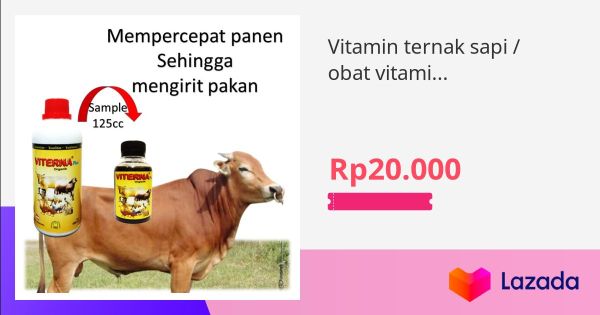 Vitamin ternak sapi / obat vitamin untuk ternak sapi / vitamin hewan ...