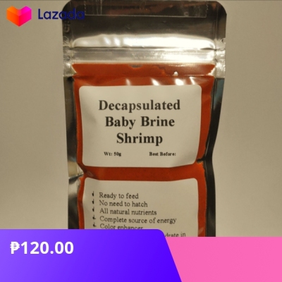 Decapsulated Baby Brine Shrimp Fish Food Juvy Fry Adult No Need to ...