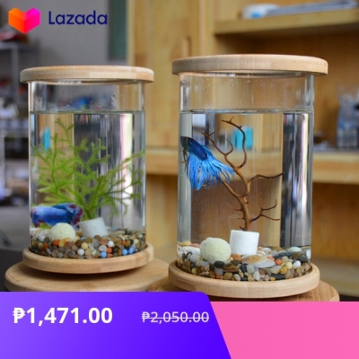 【CW】 360 Degree Rotating Glass Betta Fish Tank Bamboo Base Mini Fish ...