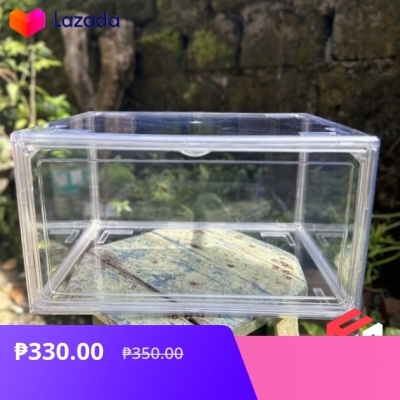 Side Drop Magnetic Stackable Clear Transparent Acrylic Sneaker Shoe ...