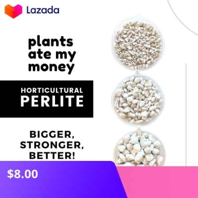 [BIG PERLITE] Jumbo, Super Coarse & Coarse Horticultural and Hydroponic ...