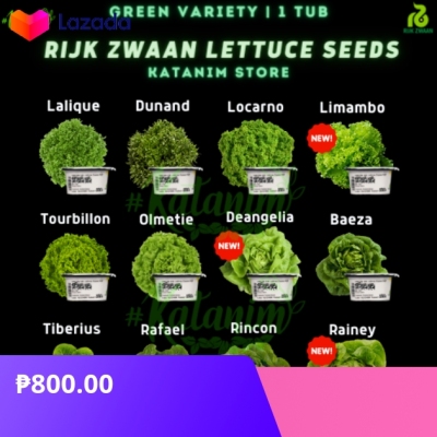 GREEN Variety Lettuce Rijk Zwaan Seeds Collection | 1 TUB RZ Seeds ...
