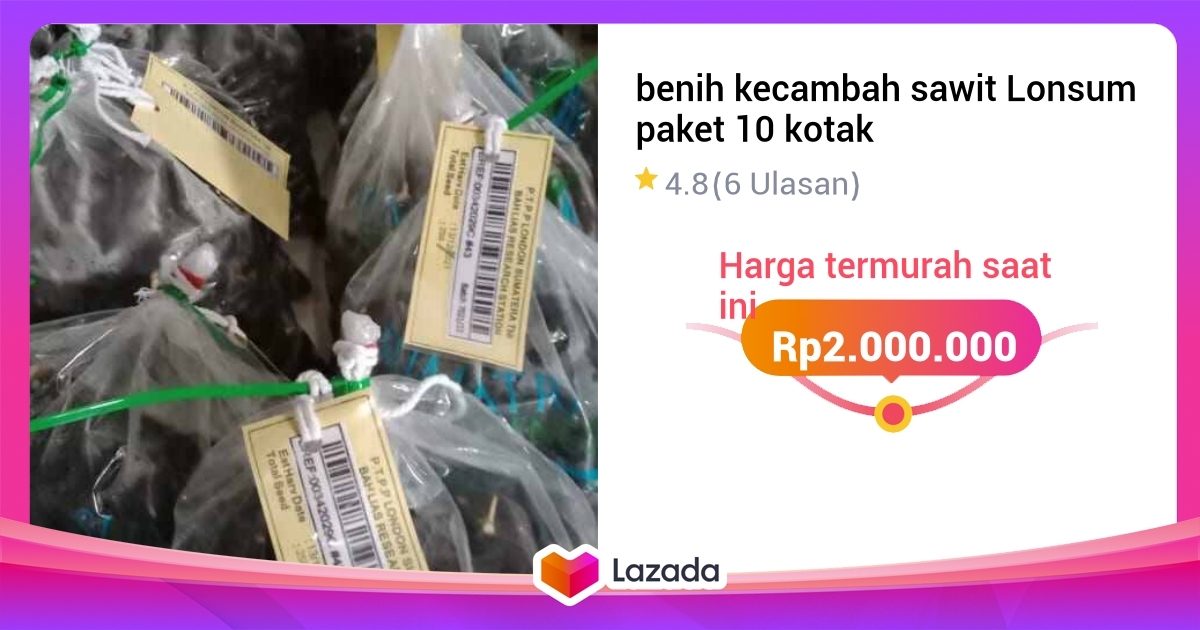benih kecambah sawit Lonsum paket 10 kotak