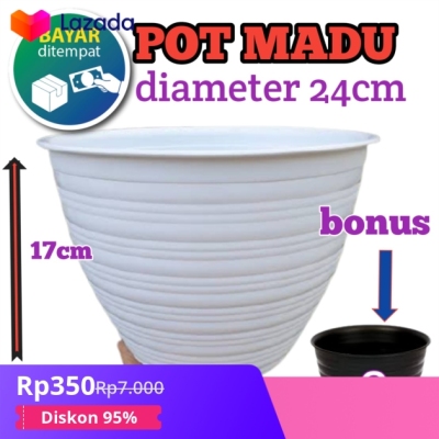 Murah Nampol Serba 9 Ribu Pot Bunga Cantik Pot Bunga Warna Putih Bunga Hidup Yg Lagi Viral Pot ...