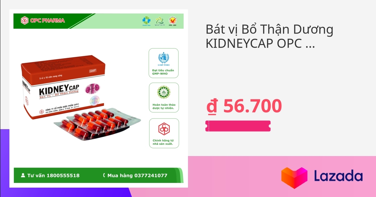 Bát vị Bổ Thận Dương KIDNEYCAP OPC - Hàng chính hãng OPC
