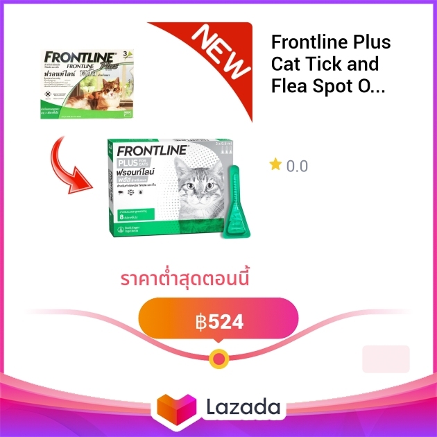 Frontline Plus Cat Tick and Flea Spot On Treatment Fipronil For Cats ...