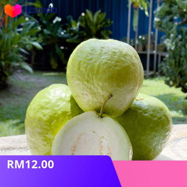 [EF Store - Fruits] Premium Fresh Organic Guava Lohan from RM9.90/KG