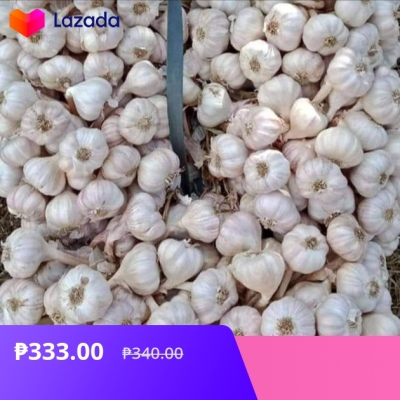 Ilocos Native Garlic 1kilo