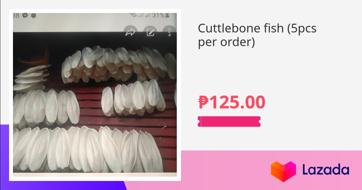 Cuttlebone fish (5pcs per order)