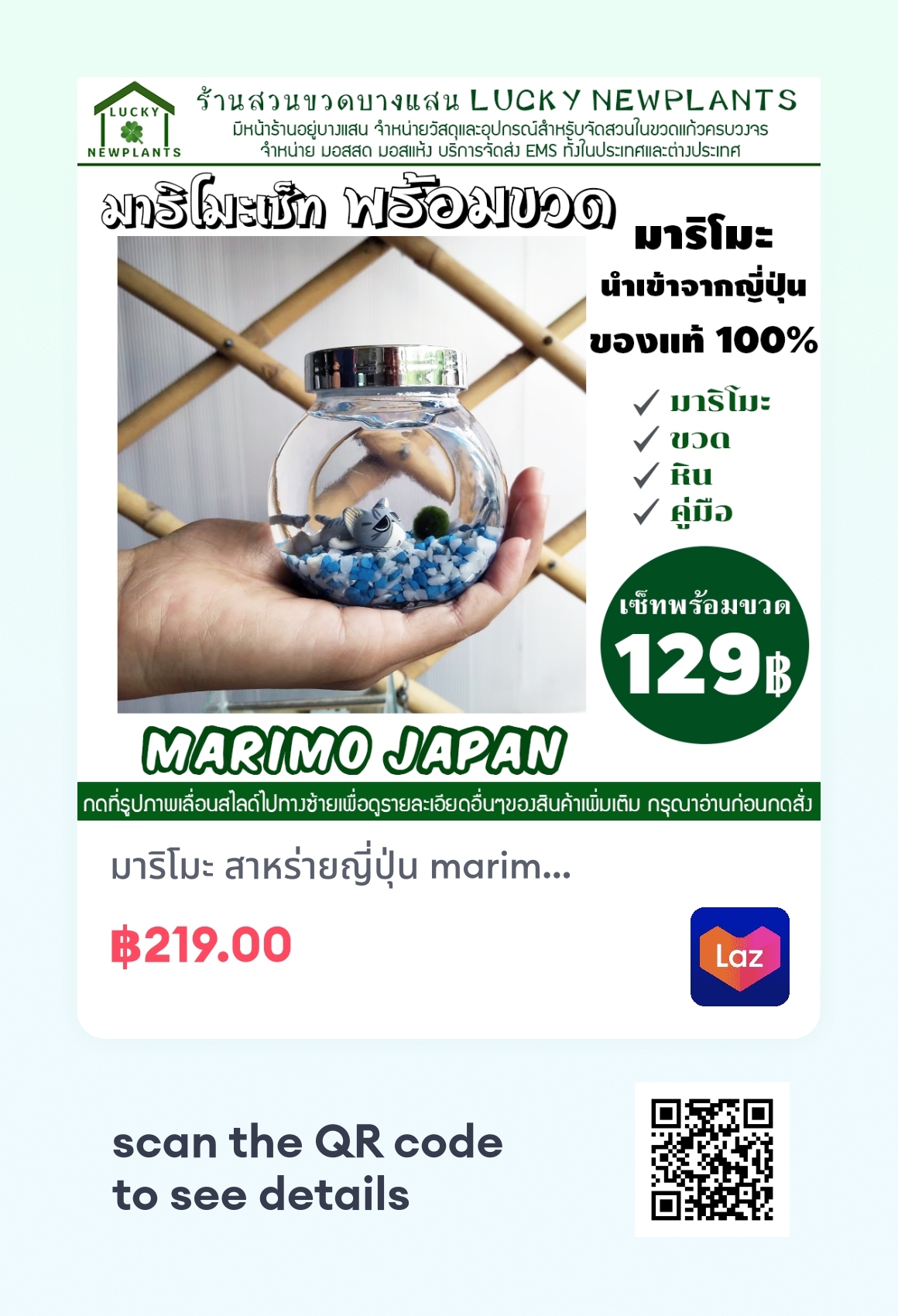 มาริโมะ สาหร่ายญี่ปุ่น marimo เซ็ทพร้อมขวด #C มีของพร้อมส่ง