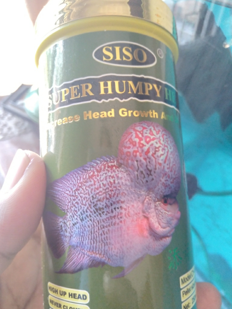 Flowerhorn Fish Food For Head Growth