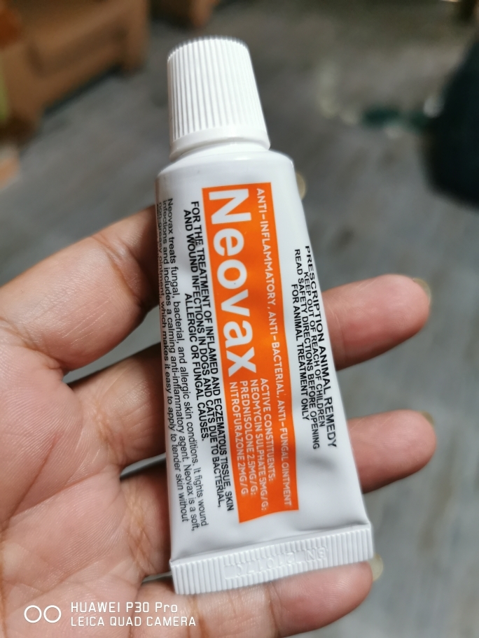 Neovax Ointment 20g For Dogs And Cat | lupon.gov.ph