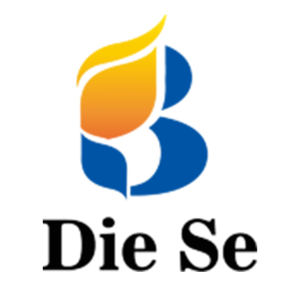 DieSe Official Store Malaysia Official Online Store | Shop Now on Lazada