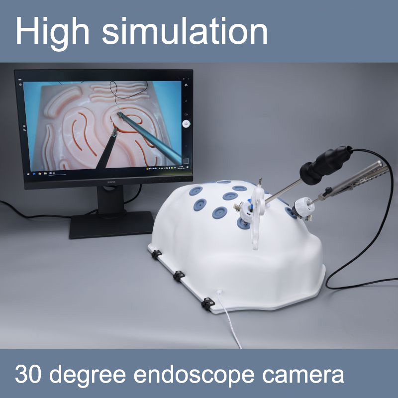 General Surgery Simulator And Specimen Products — EndoSim