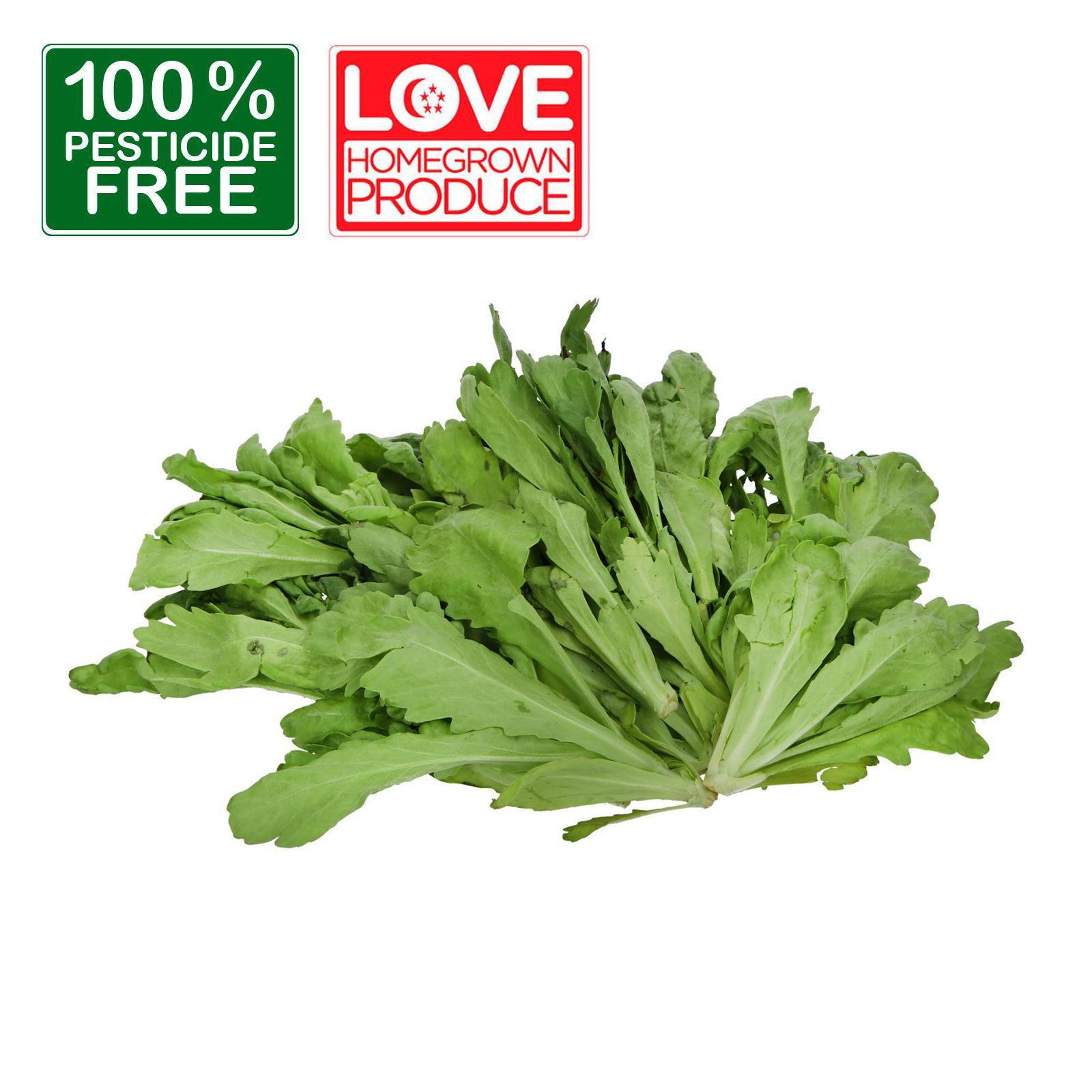 Puay Leng & Heng Chye - Buy Puay Leng & Heng Chye at Best Price in ...