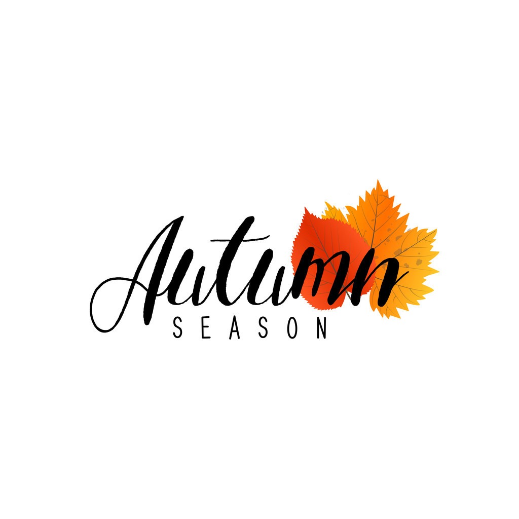 Autumn Season Store Singapore Official Online Store | Shop Now on Lazada