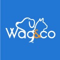 Wag & Co Singapore Official Online Store | Shop Now on Lazada