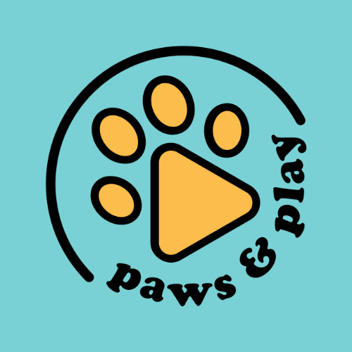 Paws and Play Official Store in Singapore, Online Shop 04 2025