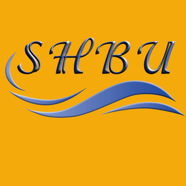 SHBD Official Store in Singapore, Online Shop 02 2025