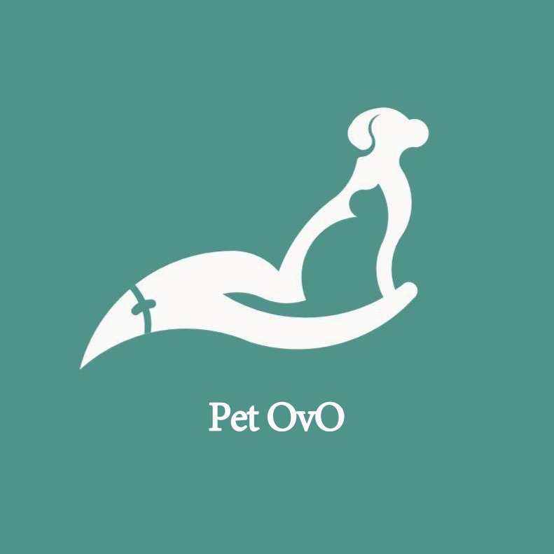 Pet OvO Singapore Official Online Store | Shop Now on Lazada