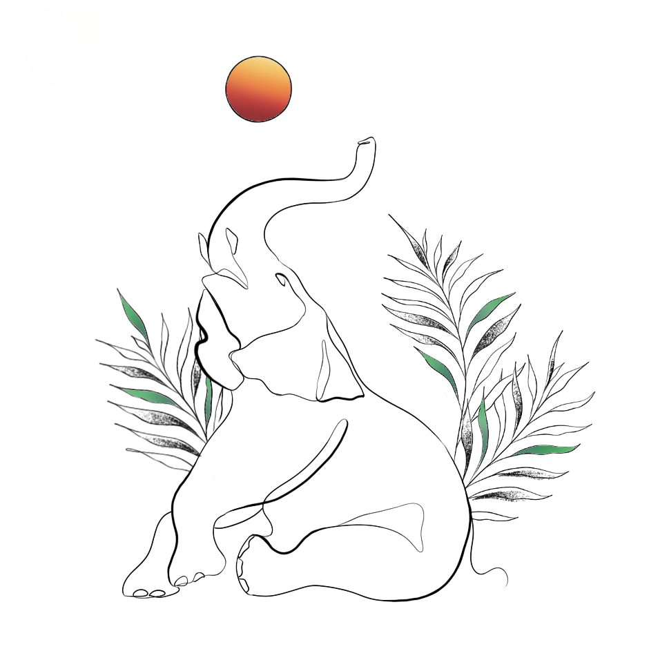 The Elephant Picks Official Store in Singapore, Online Shop 10 2024