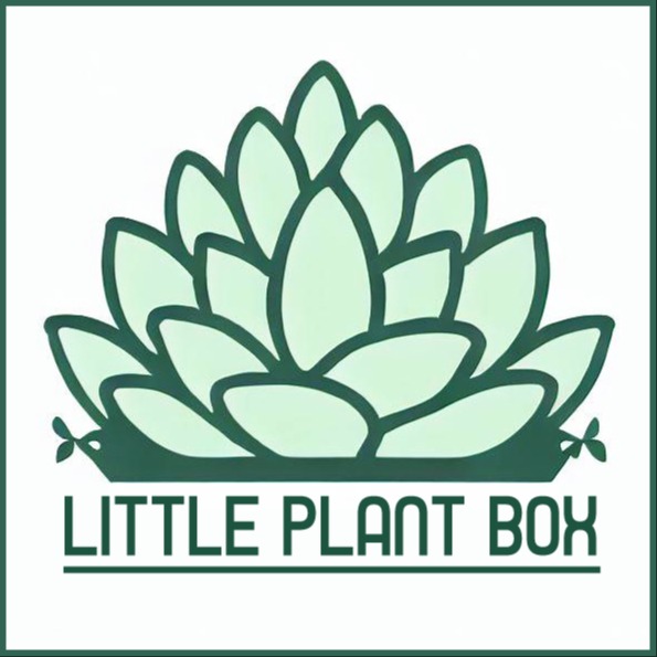 Little Plant Box Singapore Official Online Store | Shop Now on Lazada