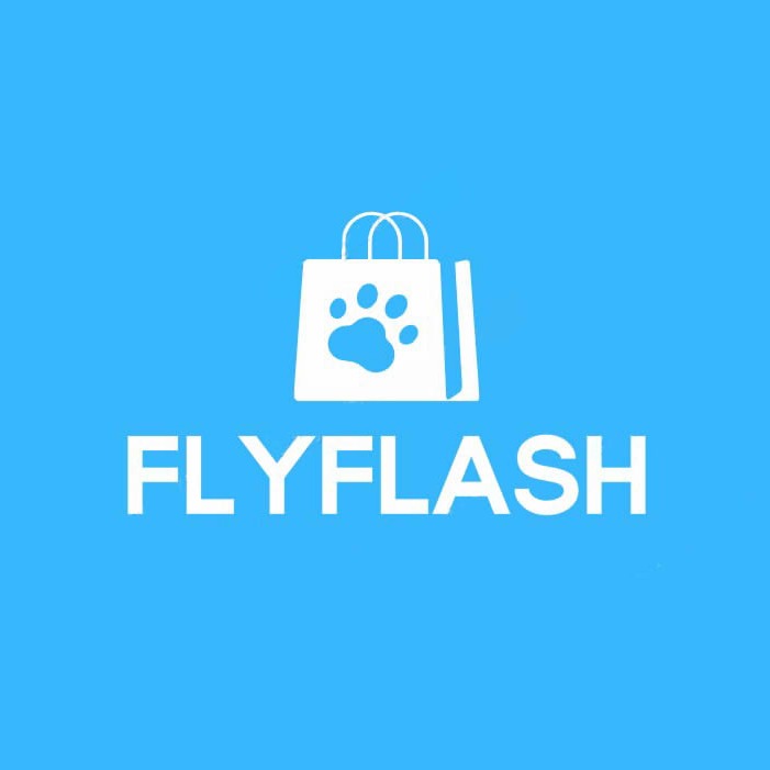 Fly Flash Official Store in Singapore, Online Shop 10 2024